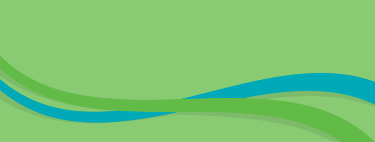 Best practice supervision guidelines: Family violence, sexual assault ...